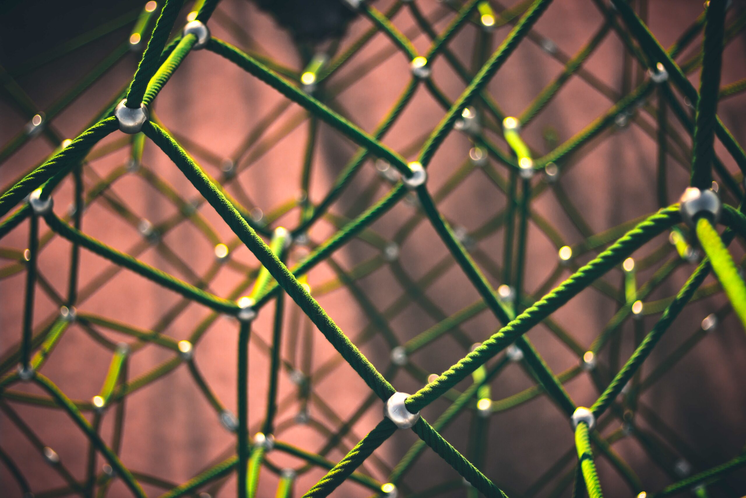 プロファイリング心理分析講座（基礎コース）のご案内 - Stellar Intentions ｜ 株式会社ステラーインテンションズ